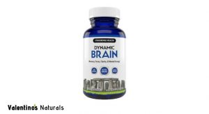 Dynamic Brain Review – Will it Help Your Cognition? – Valentino's Naturals